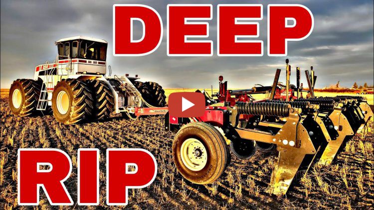 Welker Farms -- 600HP BIG BUD Deep Rippin -- FRACTURE That Hard Pan ...