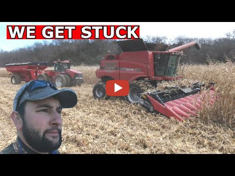 Hartung Family Farms - HARVESTING MUDDY FIELDS -- We finish up the ...