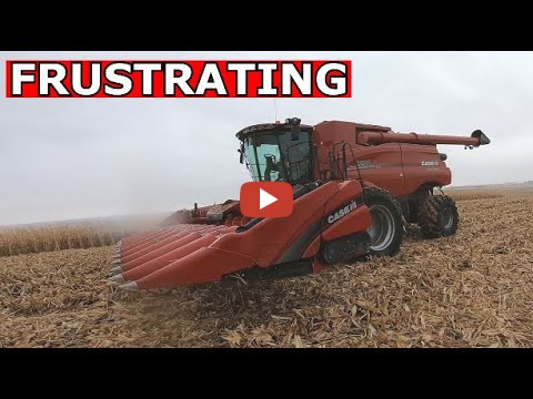 Hartung Family Farms - NEW COMBINE DOWN - too wet - We get rained out ...
