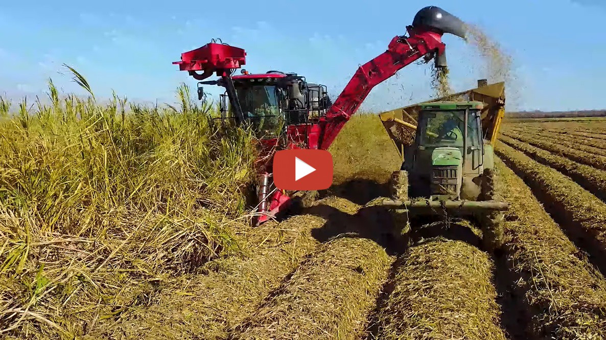 The All-New 2021 Case IH 9900 Sugarcane Harvester is here! -- Lemann's ...