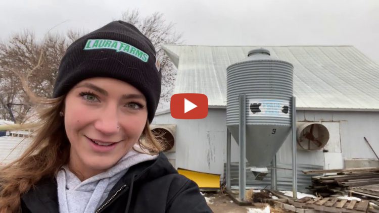 Laura Farms -- Fixing a 95 Year Old Barn With My Grandpa -- I've always ...