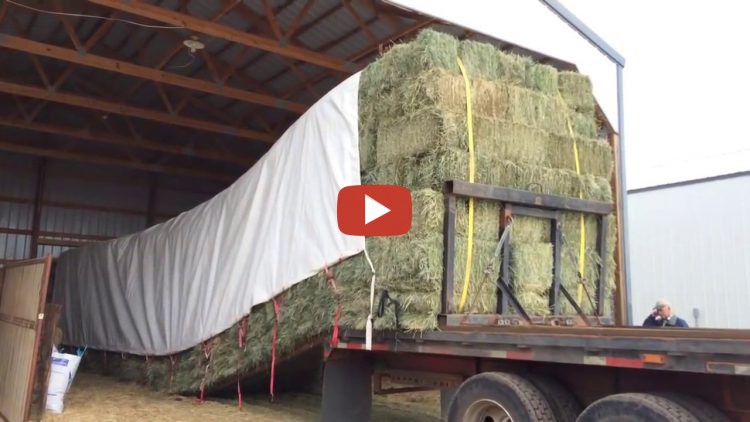 Unloading Hay the Easy Way - Hydraulic Hay trailer unloading small ...