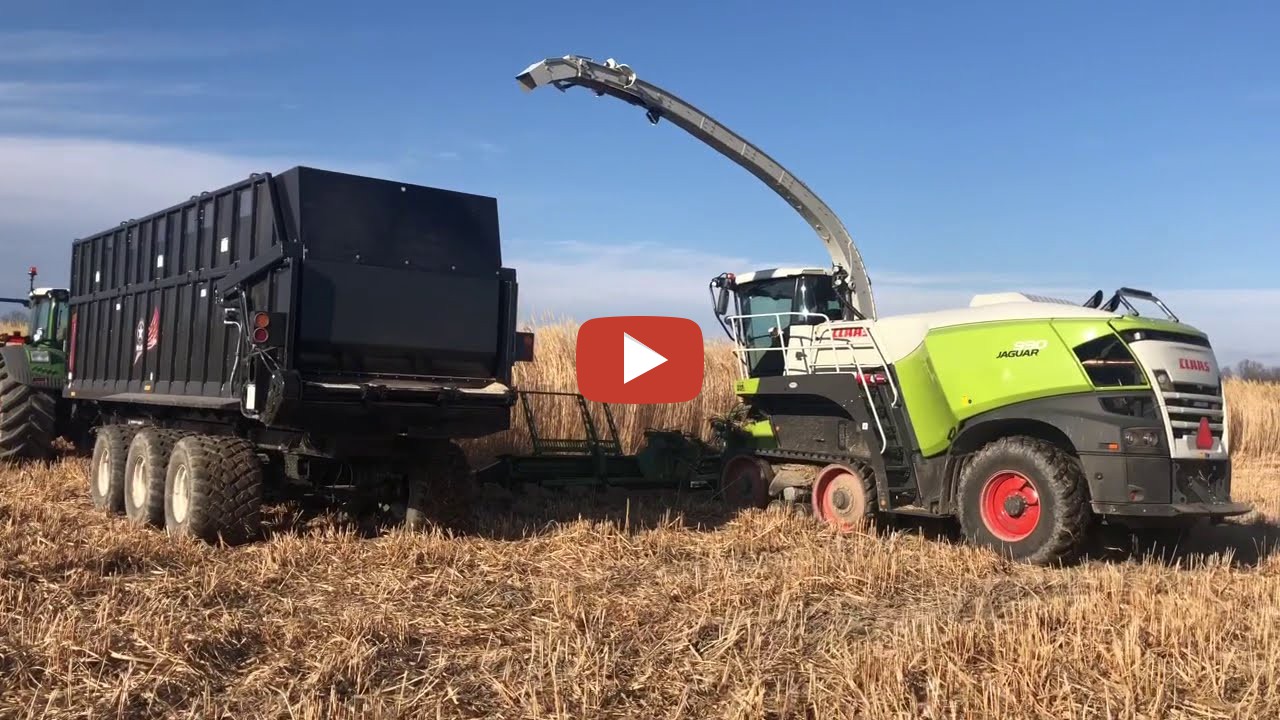 Using a Claas 990 chopper to cut & chop miscanthus grass on Maryland’s ...