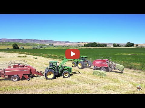 Mike Less - Farmhand Mike -- Hay Making video from a farm near American ...