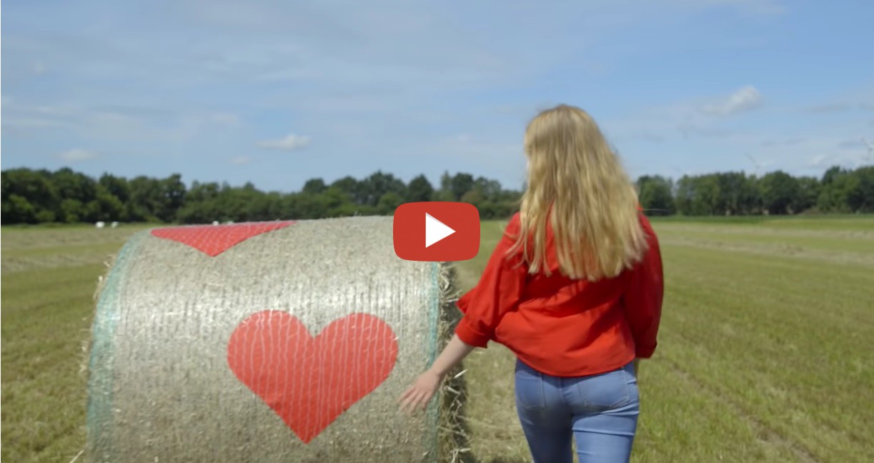 Valentine's Day -- Krone Comprima F155XC -- That is real Love