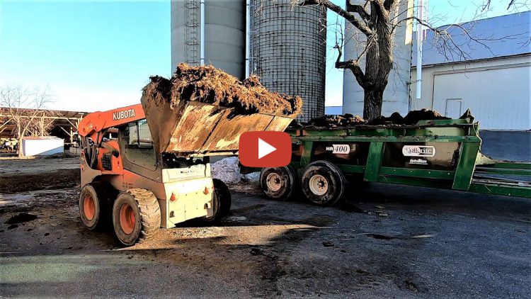 Cleaning Out the Bull Barn - Hauling manure while the ground is solid ...