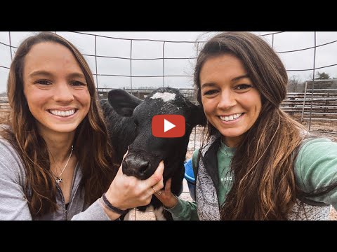 Erin Holbert - Field Trip: Ludwig Farmstead Creamery! - I finally got ...