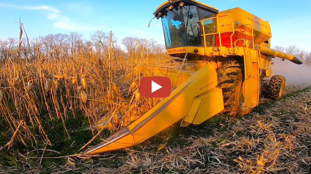 Boehm Farm -- April 6 2021 Corn Harvest............ Waited and waited ...