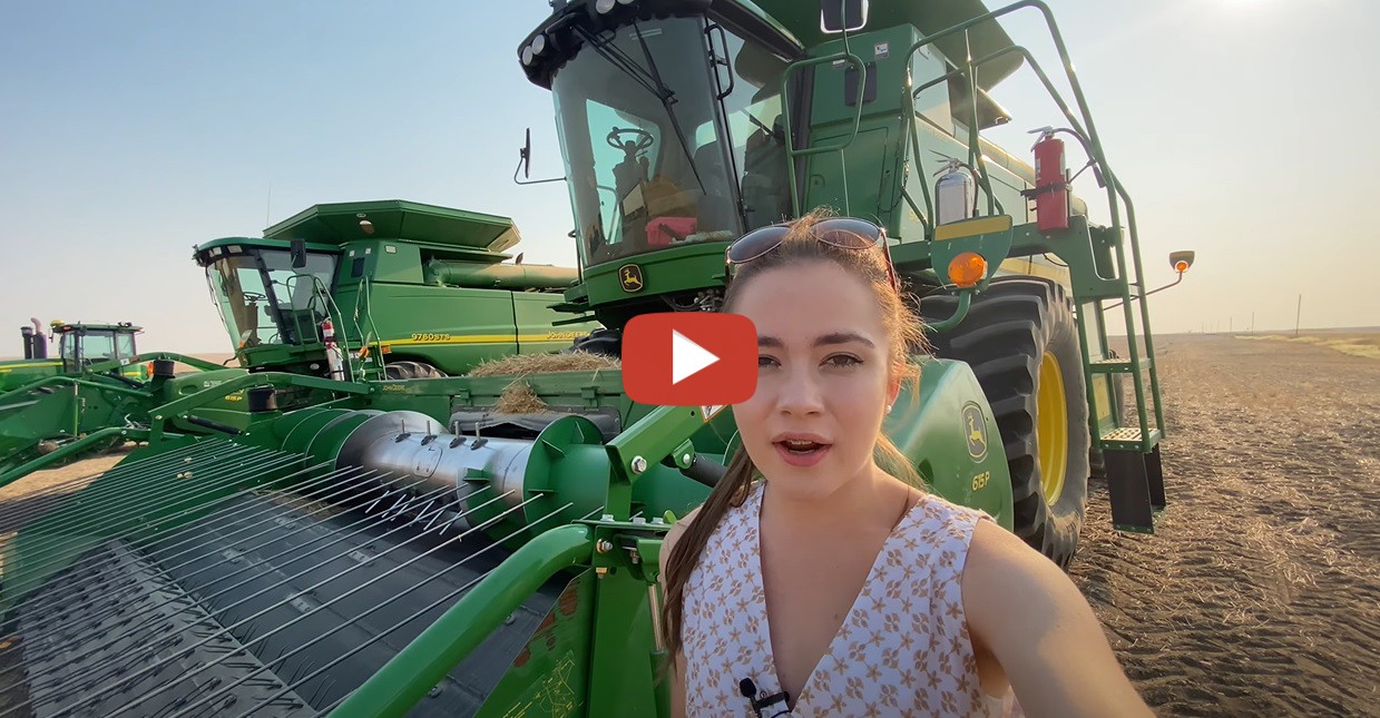 Today is the FIRST day of harvest 2021 with my new combine on our ...