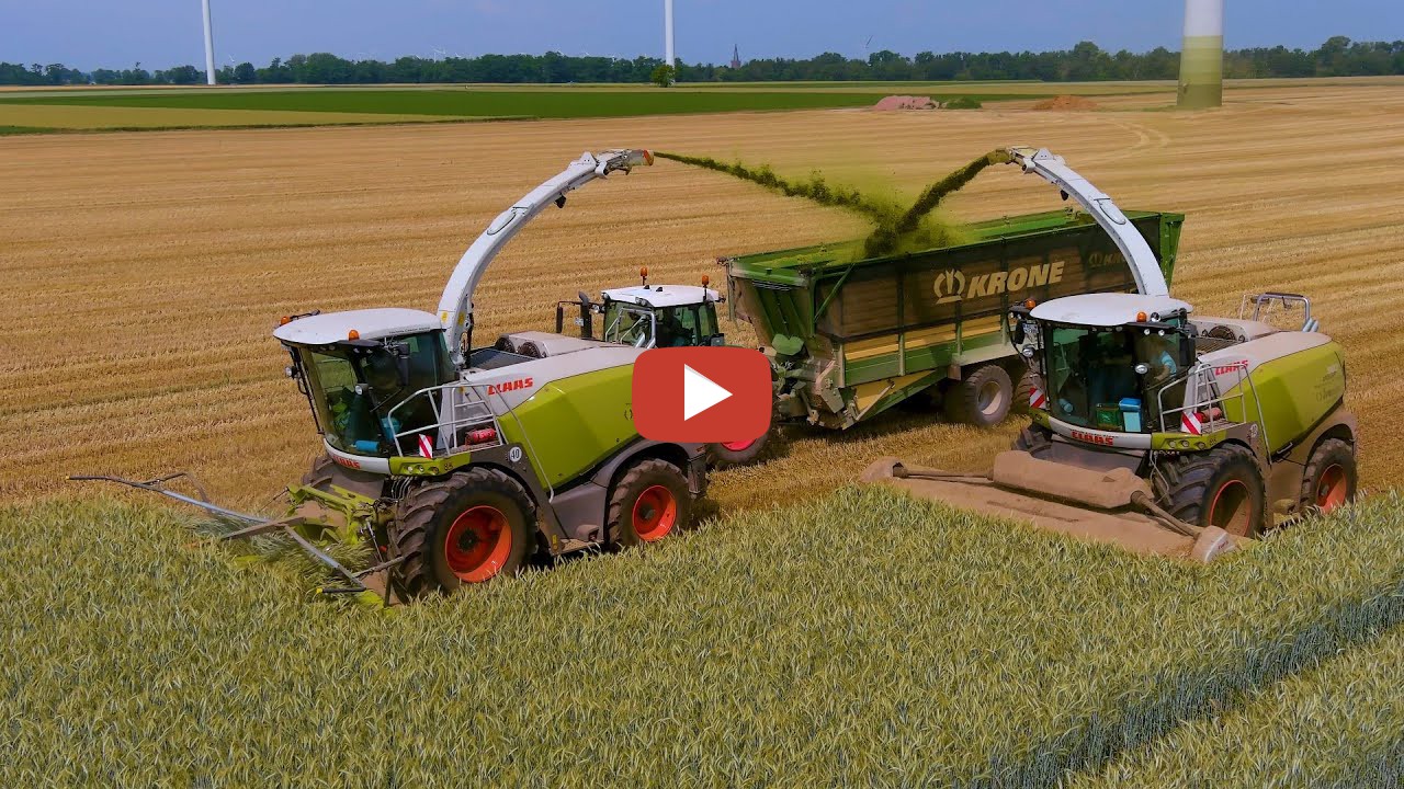 Wheat silage harvest 2021 in Germany -- Claas Jaguar 990 & 980 -- 2 ...