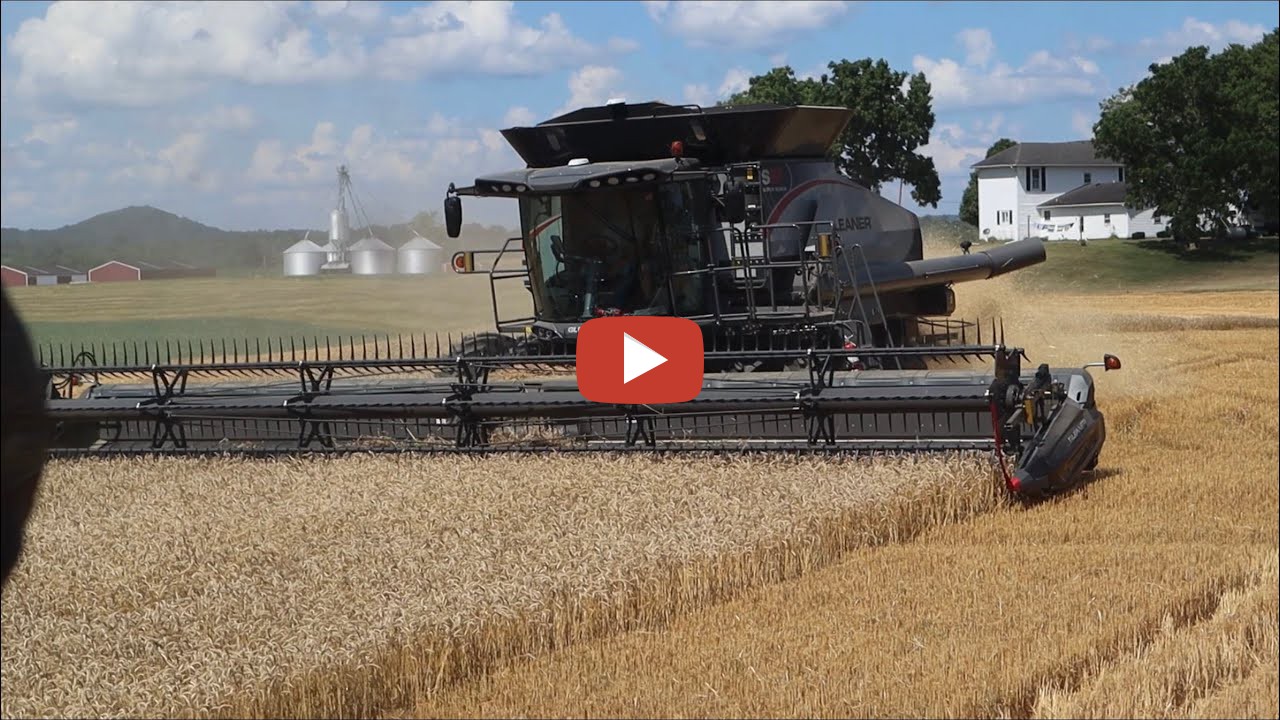 Why did we buy a Gleaner Combine? Wheat harvest 2021 -- Brian's Farming ...