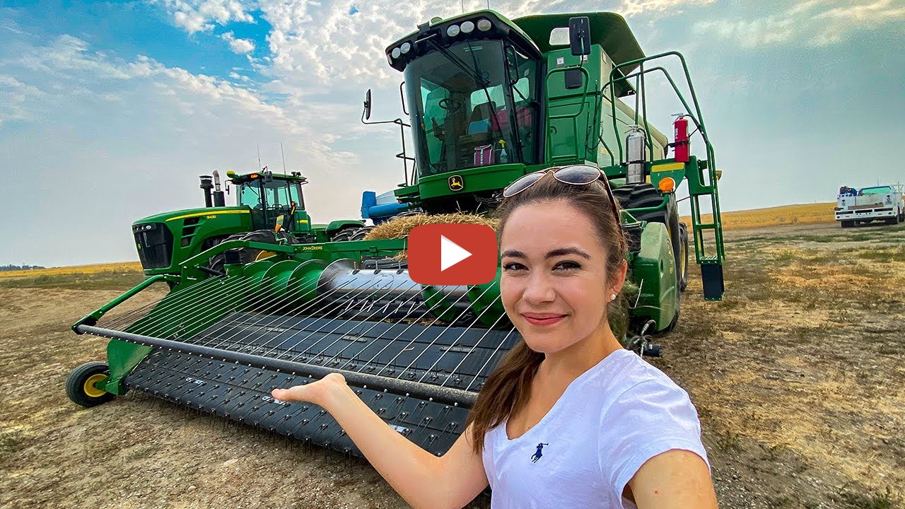 Kate's Ag - Farm to Fashion - I will take you for a ride down the road ...