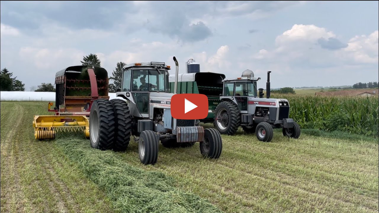 Making beautiful hay silage for the cows! With nice Oliver tractors ...