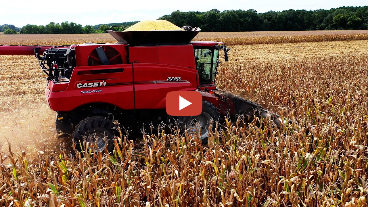 Triple R Farms - ALABAMA CORN HARVEST HAS STARTED - Today we finally ...