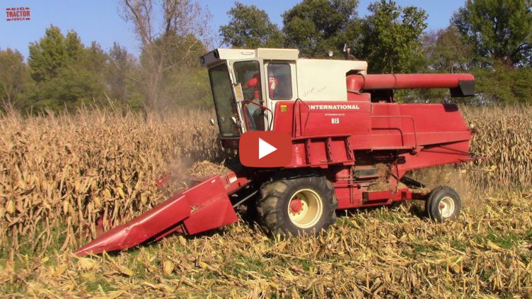bigtractorpower -- A INTERNATIONAL 815 Combine harvesting corn equipped ...
