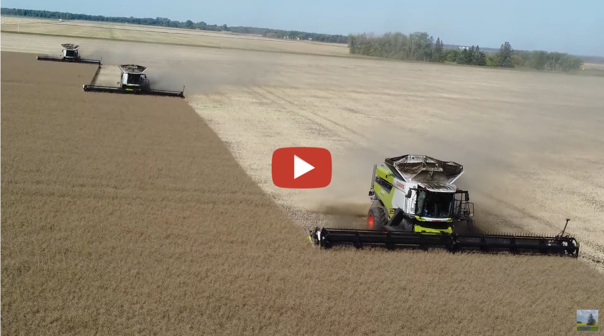A look at three CLAAS 8700 combines harvesting a decent canola crop for ...