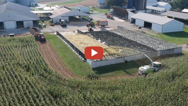 Direct Deposit Corn Silage. Cornsilage harvest is underway. Claas ...