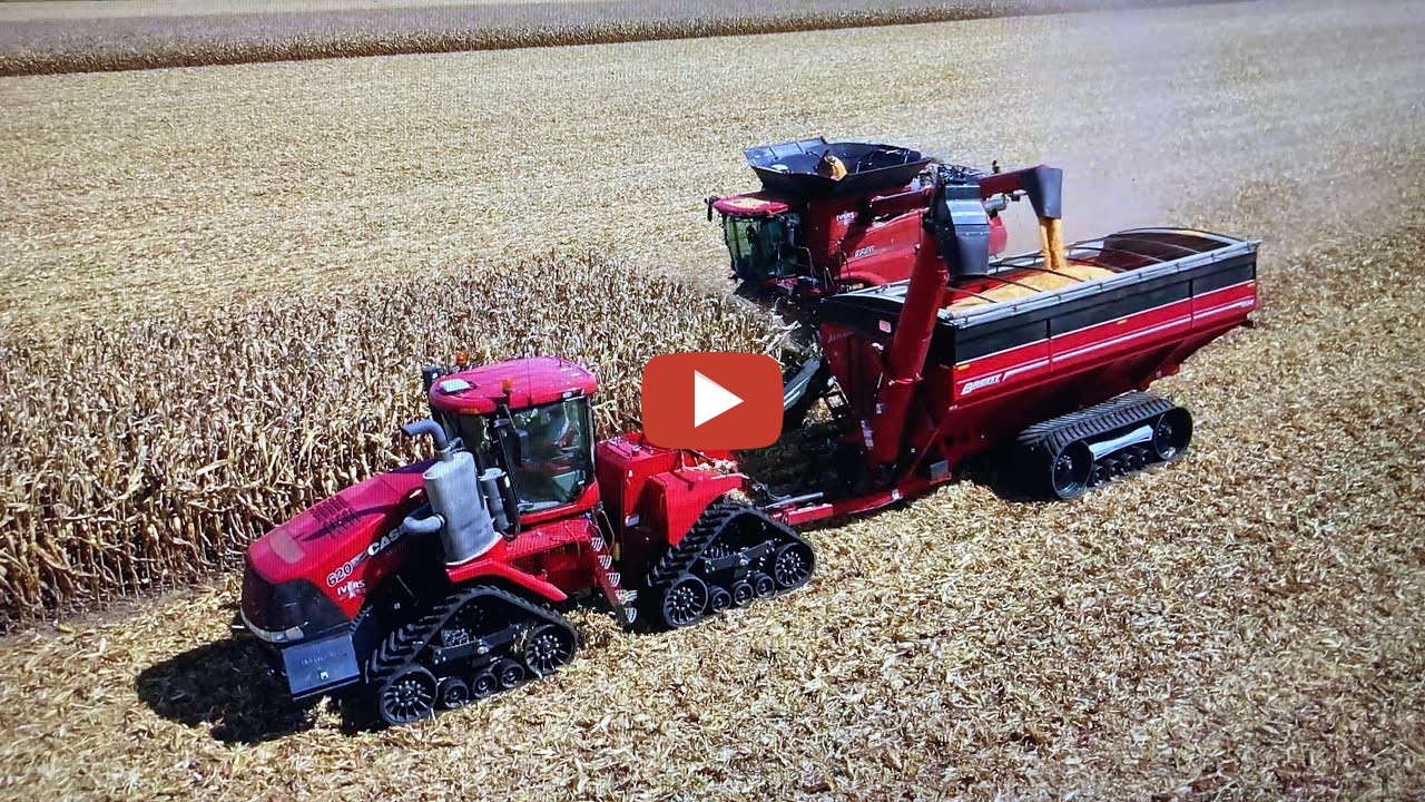 First Week Of 2021 Corn Harvest on a Midwestern Farm In the United ...