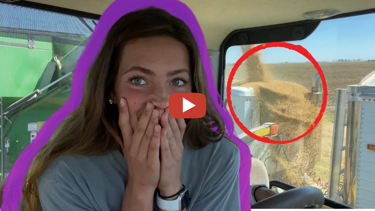 Laura Farms -- Oh No! I Spilled the Beans!!! Not one of my finer ...