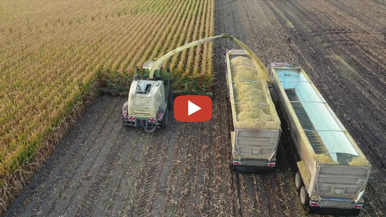 Malecha Dairy's Corn Silage with a Krone chopper and JCB and John Deere ...