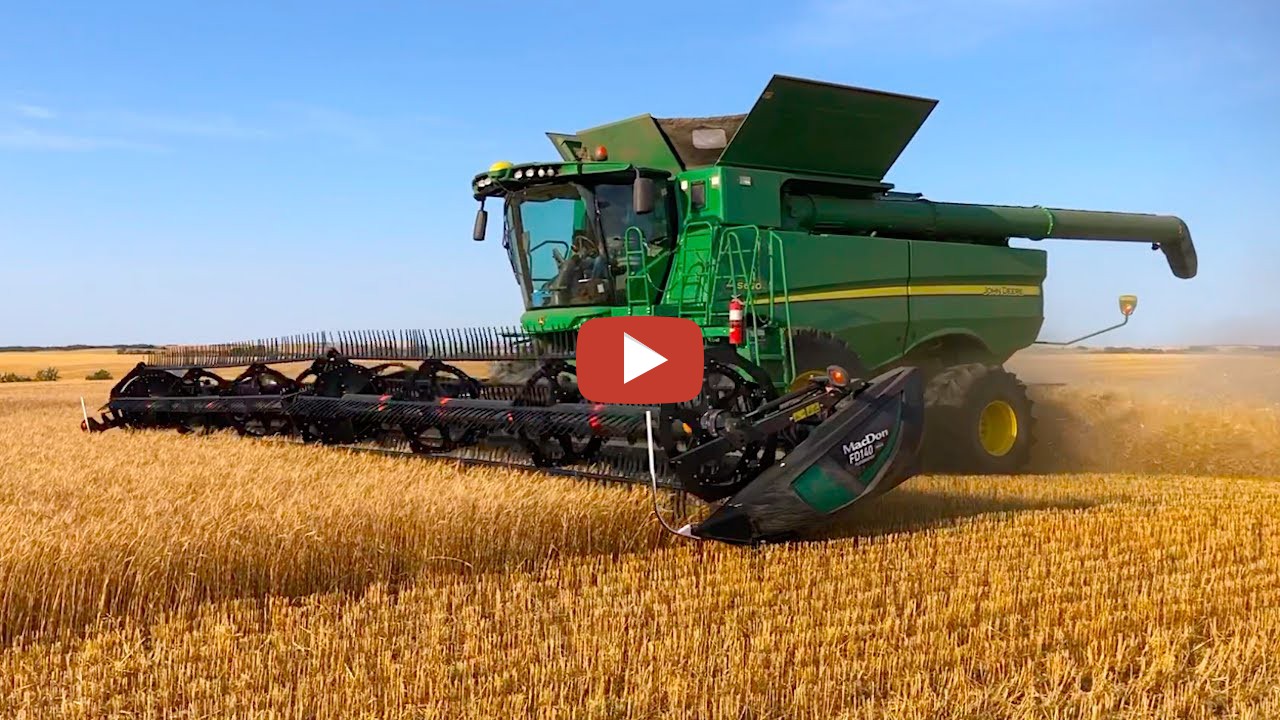 The Worst Drought In The Last 20 Years.. Harvesting wheat 2021 in ...