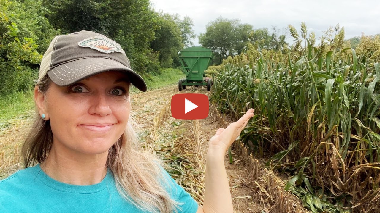 This Farm Wife - Meredith Bernard - Let 'er eat! - Chop, chop, it's ...