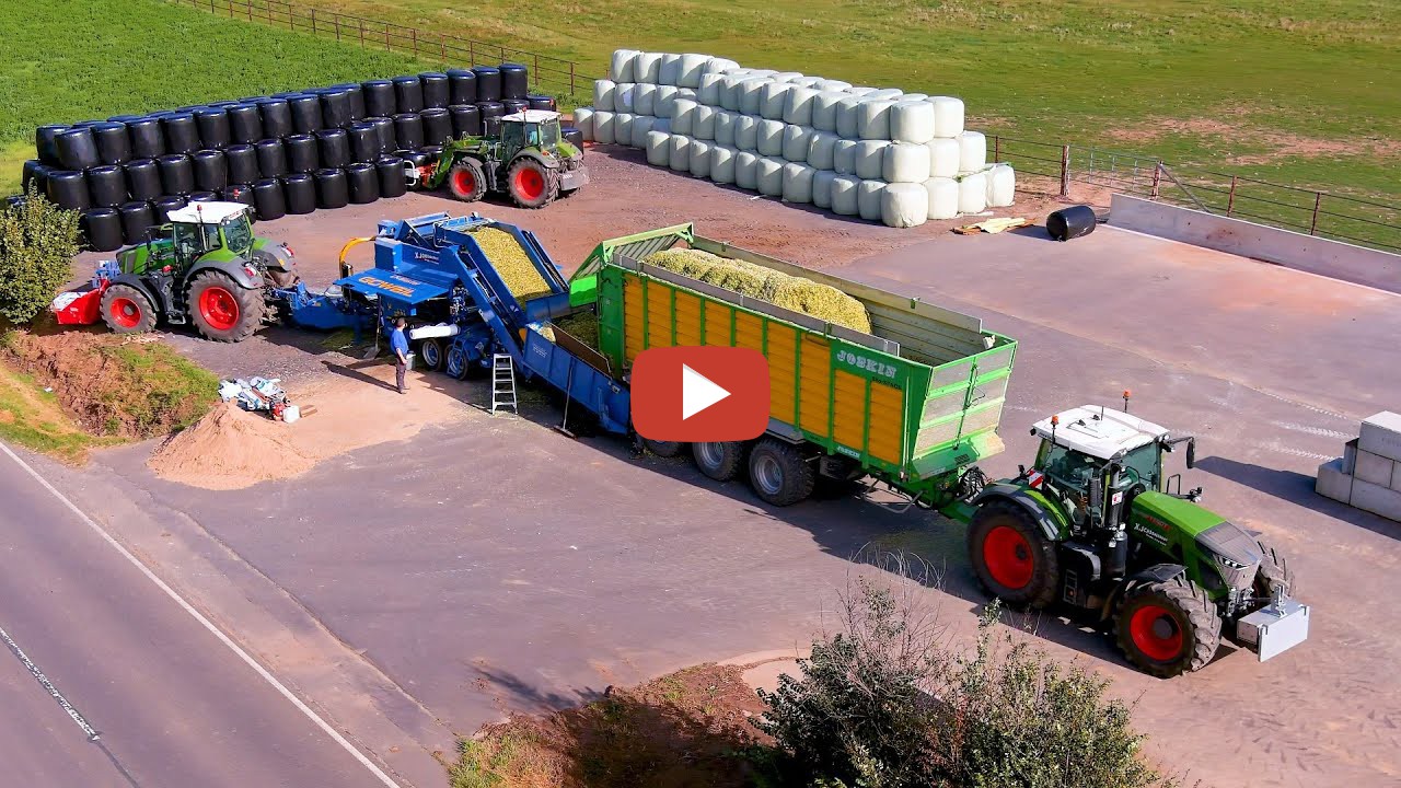 Corn Silage 2021 with Krone BIG X 630 Chopper.... Corn Silage Baling ...