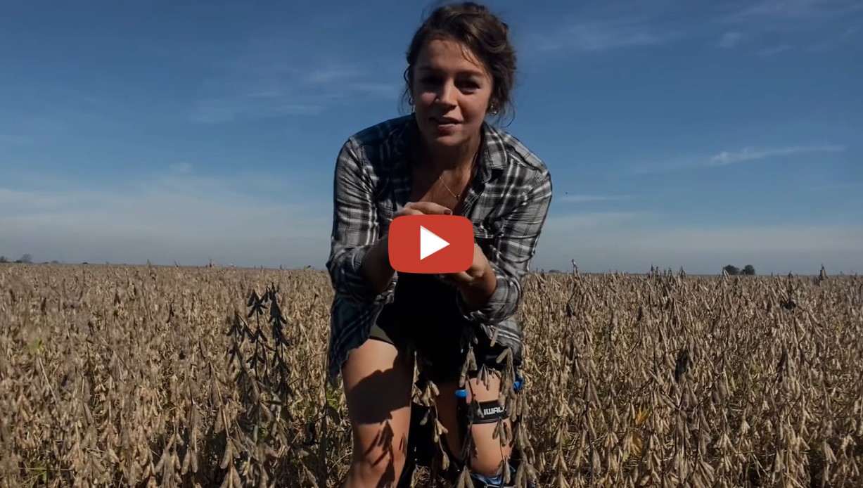 *Erin Holbert -- Are These Beans Ready to Harvest?? John Deere equipment...