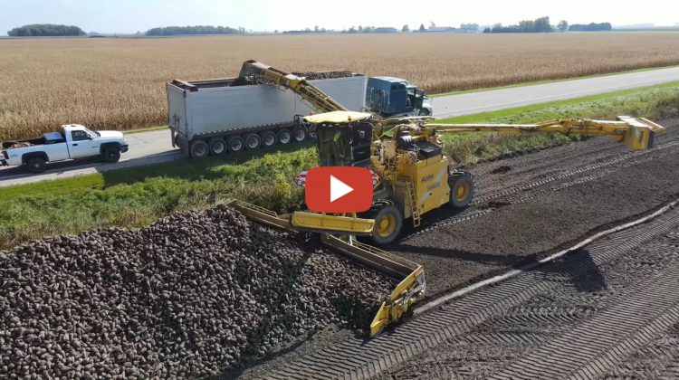 Mike Less - Farmhand Mike -- Michigan Sugar Beet Harvest near Ruth - A ...