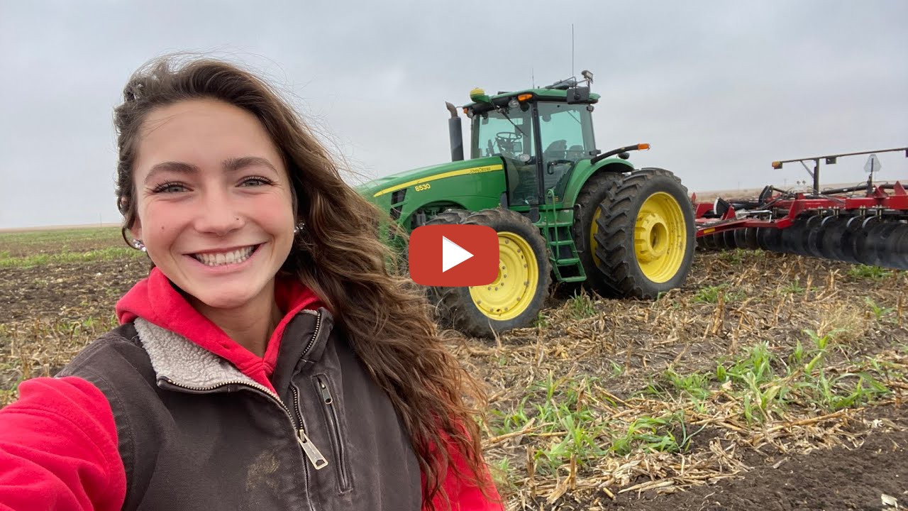 Laura Farms -- What Happens After Corn Harvest? I am so relieved that ...