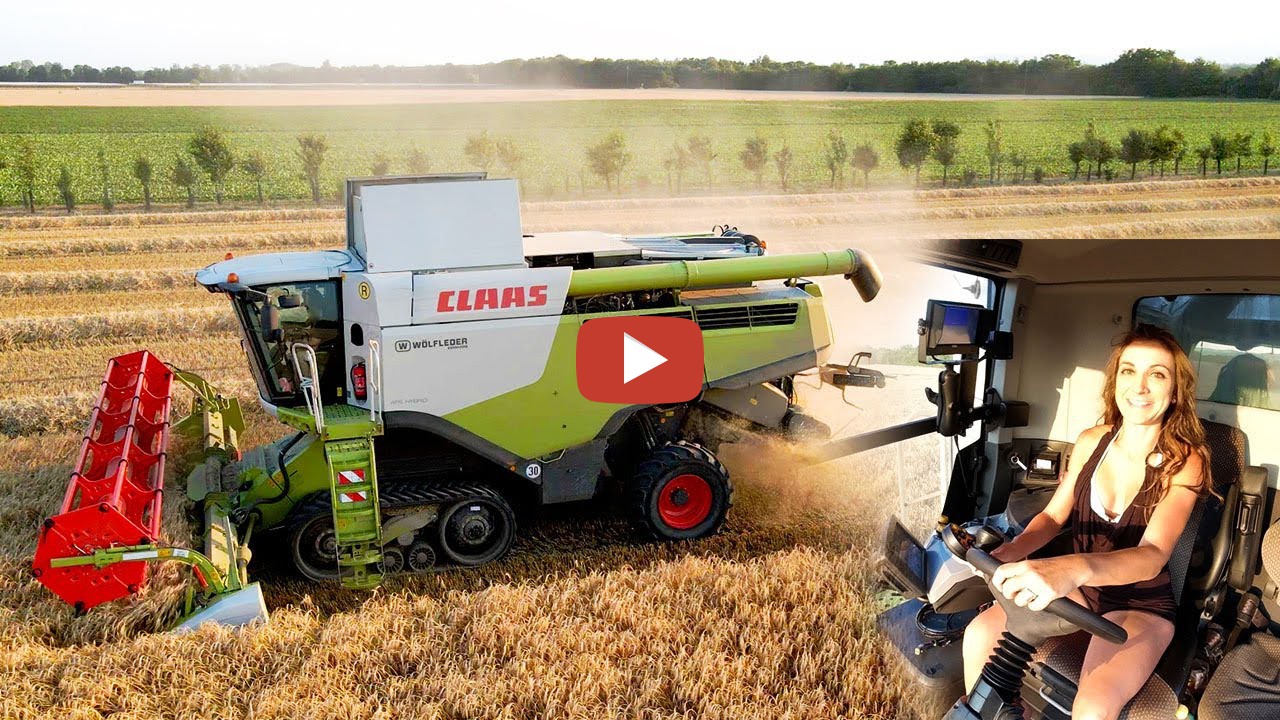 Angela Steiner drives the Claas Lexion 750 combine harvester cutting ...
