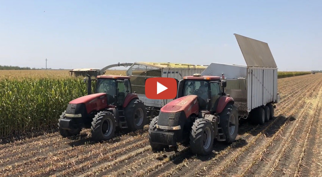 California Corn Silage Harvest - 2021 Here is a montage of some of the ...