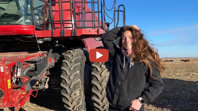 Laura Farms - A very eventful December day here at Laura Farms: almost ...