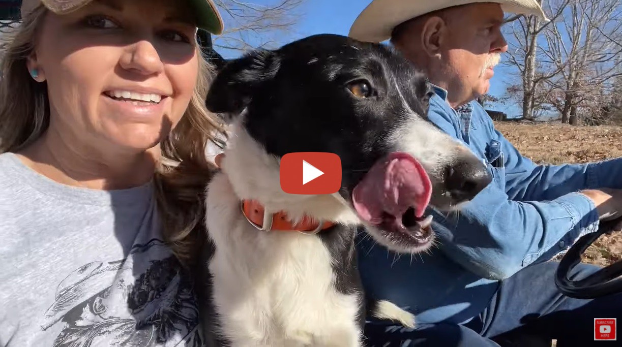 This Farm Wife - Meredith Bernard - Saying Goodbye 🐮 - The downsizing ...