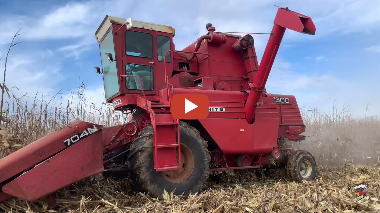 Mike Less - Farmhand Mike - Macy Indiana with a White 7300 combine and ...