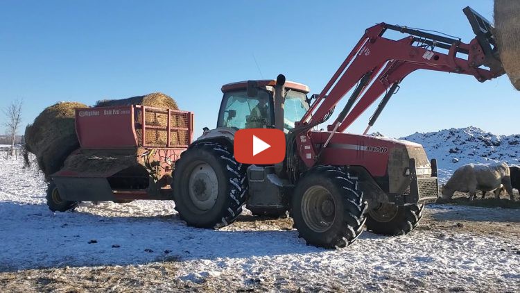 Northern farmer - Winters Here!!! Processing Hay Bales!! Its Cold and ...
