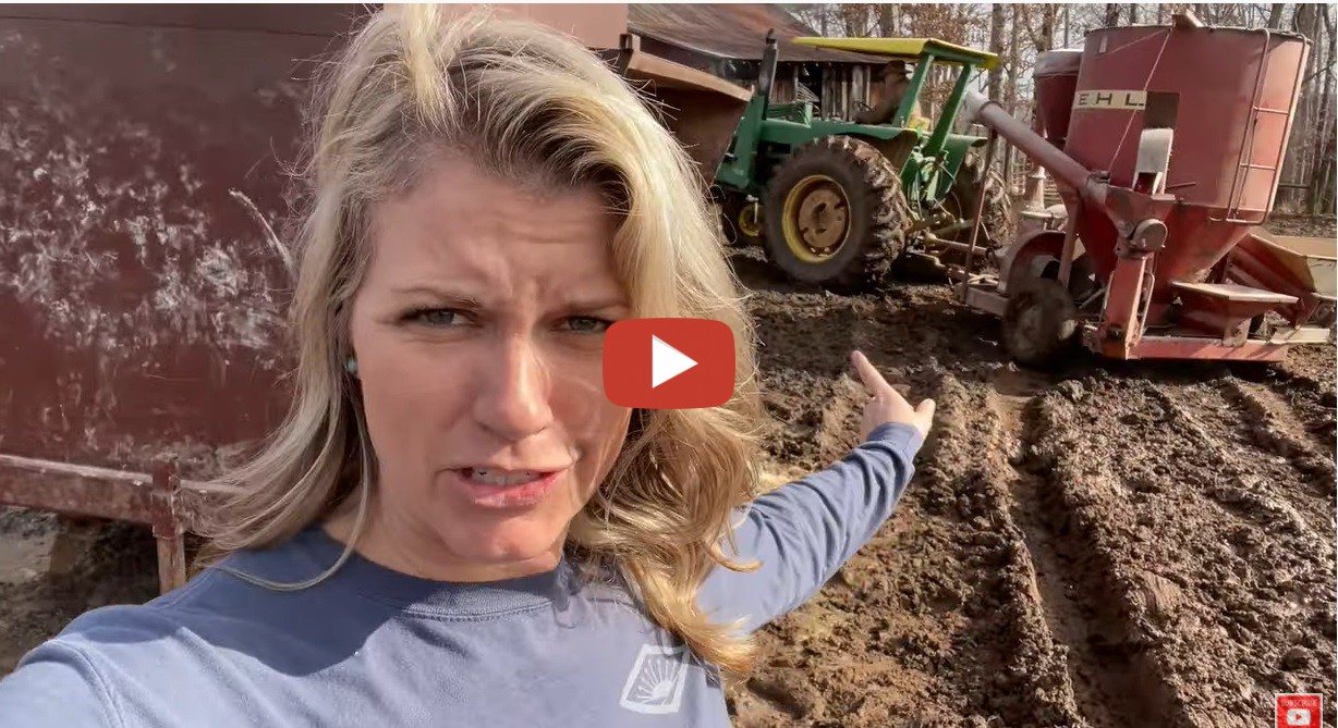 This Farm Wife - Meredith Bernard - In the midst of mud-season our girl ...