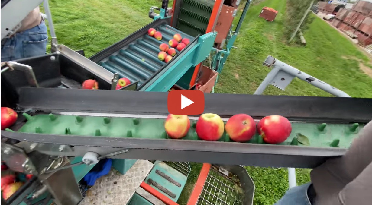 Kate's Ag - Farm to Fashion - Horticulture: Heritage Apples! Farming ...