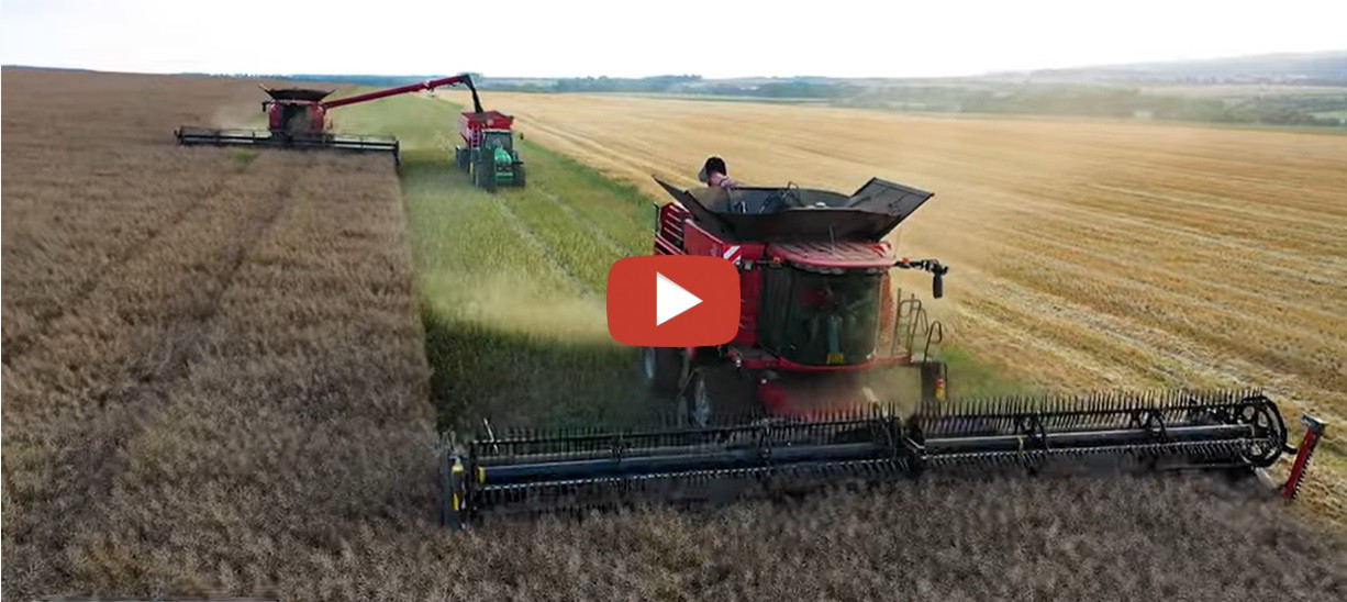 Canola harvest with 2x CASE IH Axial-Flow 9250 + MacDon FD140 ...