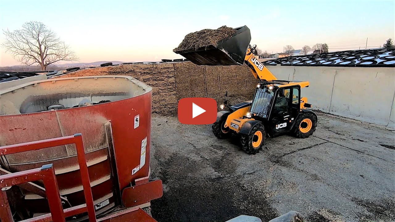 Demo JCB Telehandler Feeding Cows and Loading Manure....... 10th ...