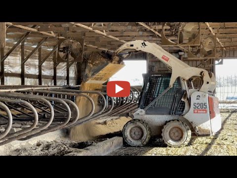Sand bedding for the dairy cows with a Bobcat 205S -- Leuenberger Dairy