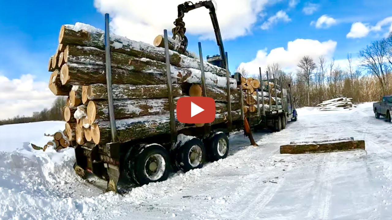 Today Jim is selling his logs from his last log job! The buyer is ...