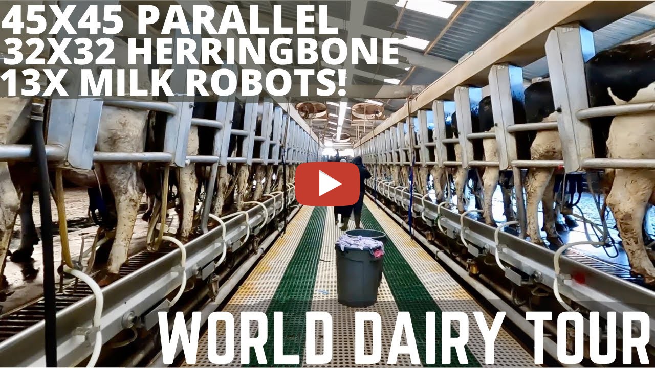 Jan is visiting a big dairy farm California who has 3 Different Milking ...