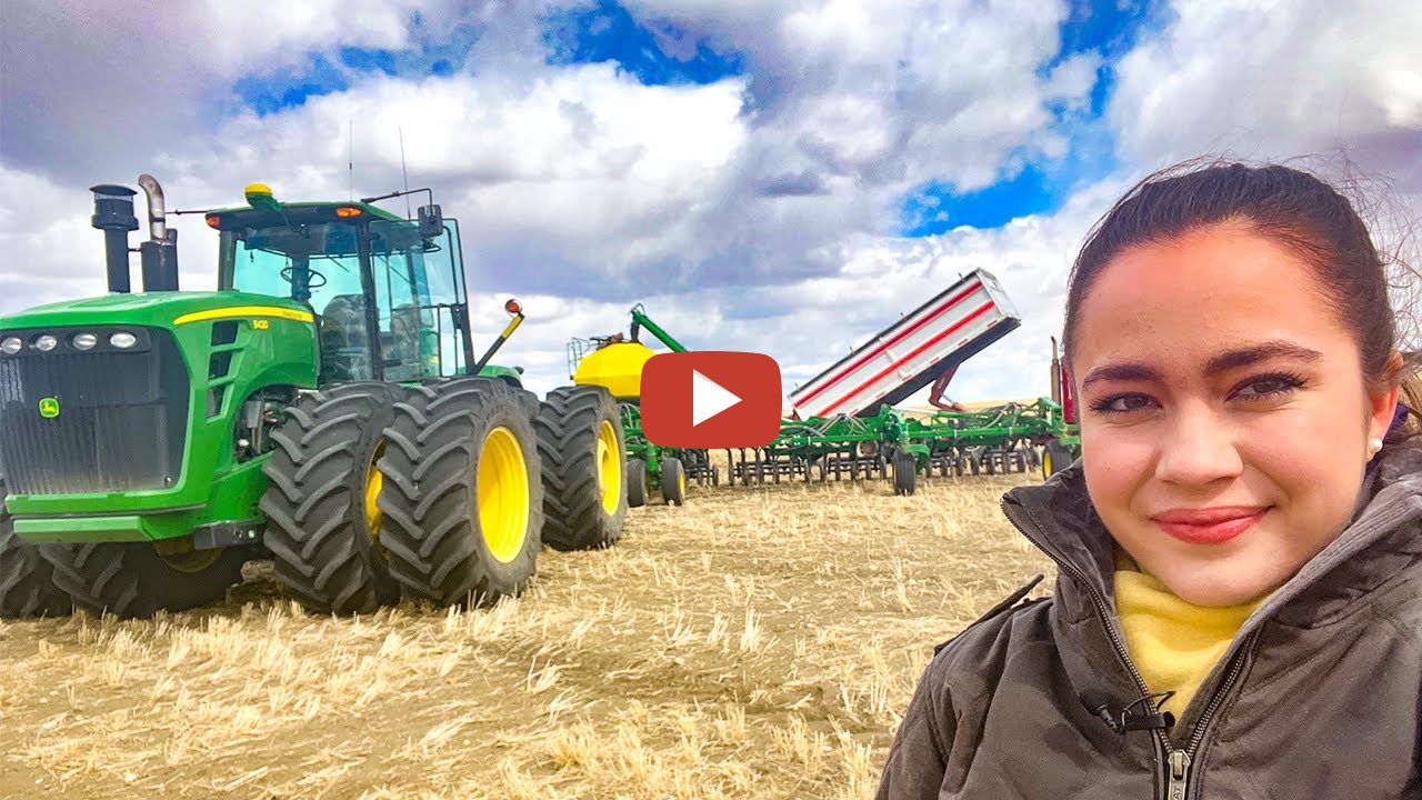 Kate's Ag - Farm to Fashion -- Planting and Rolling Chickpeas ...