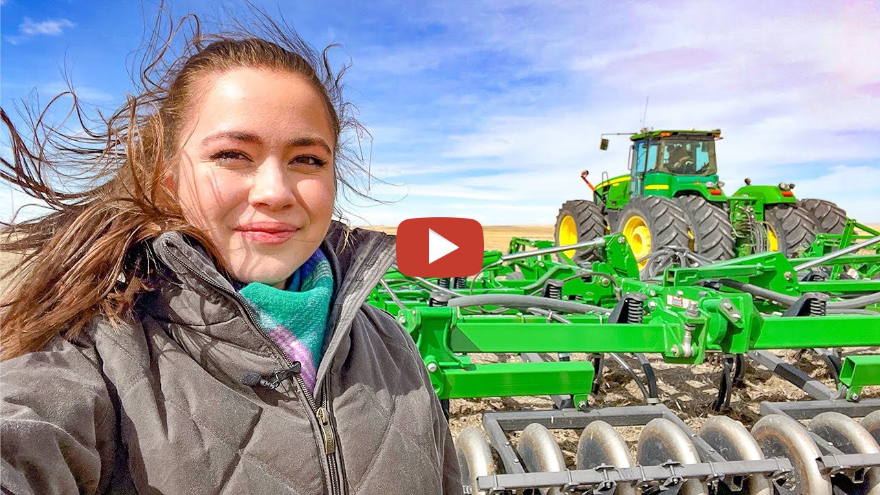 Kate's Ag - Farm to Fashion - We have high winds again here in Montana ...