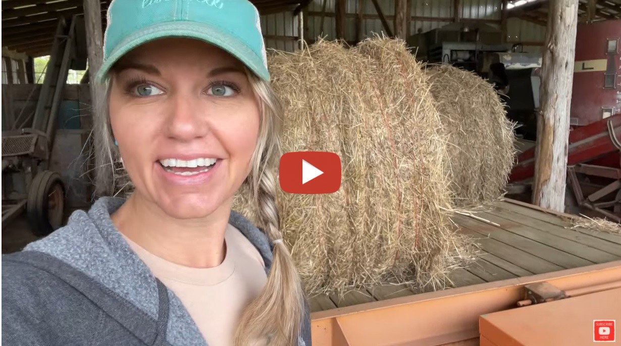 This Farm Wife - Meredith Bernard -- That's Not How This Works! -My ...