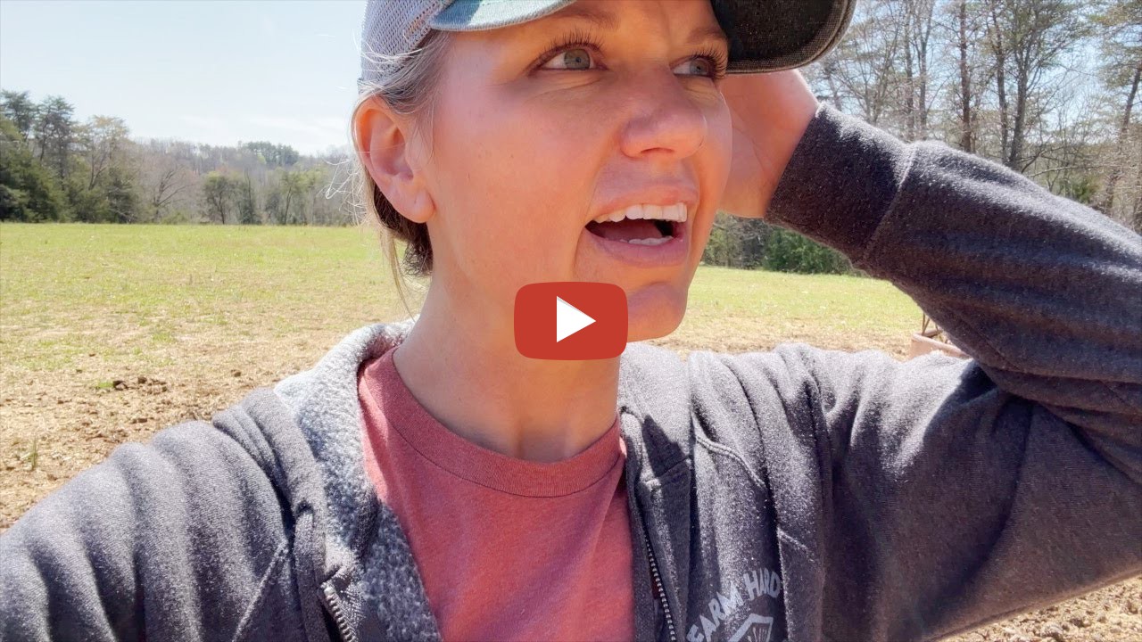 This Farm Wife - Meredith Bernard -- So much can happen in 3 days. 😜 ...