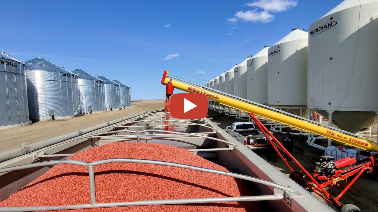 Mike Mitchell - Loading Fert & Treating Seed? The time has come to ...