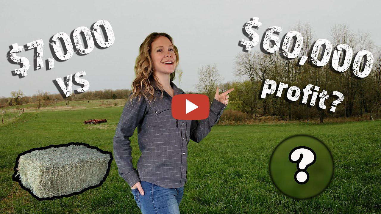WT Farm Girl Videos --THIS Might be a BIG Gamble - WHY we are ...