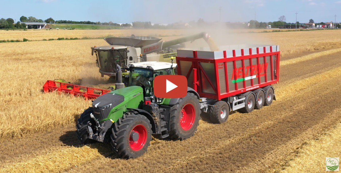 Barley Harvest 2022 in Italy with a Claas Lexion 760 Terra Trac and a ...